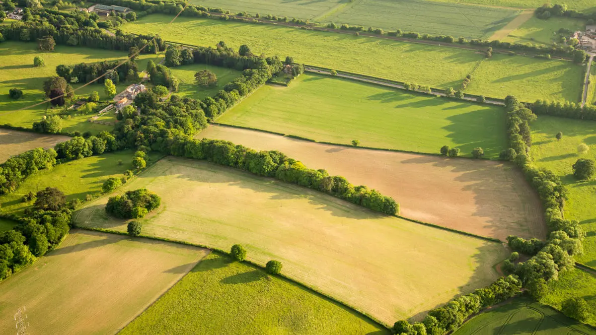 Land ownership and property boundaries | General public | OS